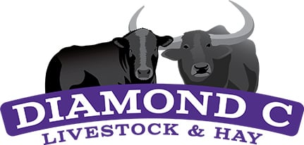 Diamond C Cattle and Hay | Colony, KS | Certified Water Buffalo Wholesaler